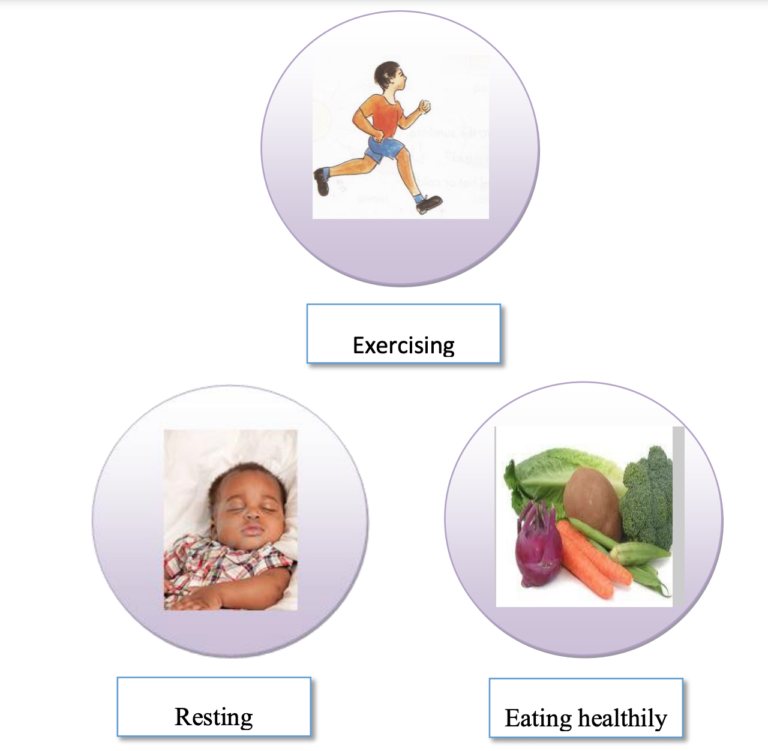 1st Grade – Lesson 2 – Virtual Education